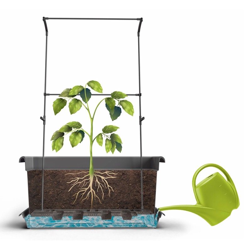 Gardenico Self-watering Mobile Living Wall Kit - 1000mm - Anthracite ...