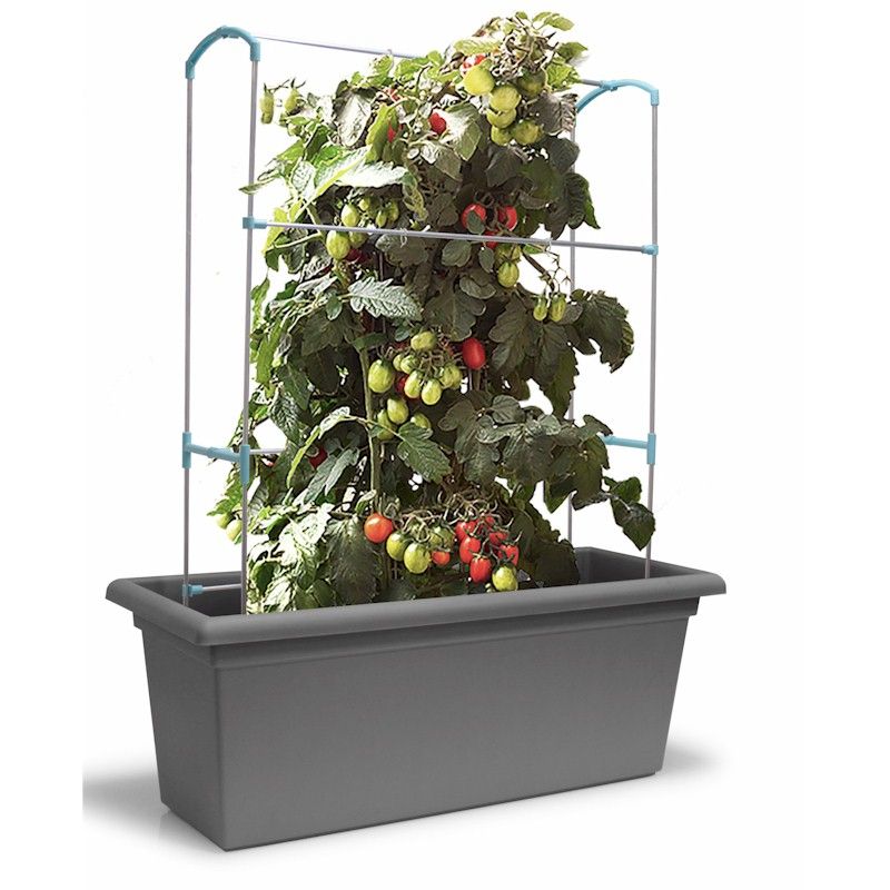 Gardenico Self-watering Mobile Living Wall Kit - 800mm - Stone Grey ...