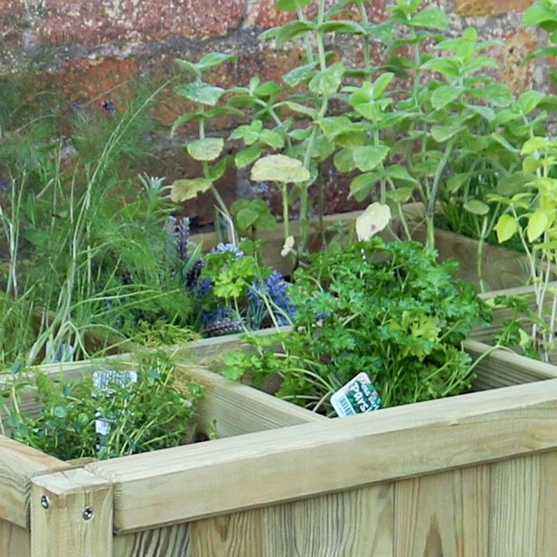 Zest Raised Herb Bed - One Garden