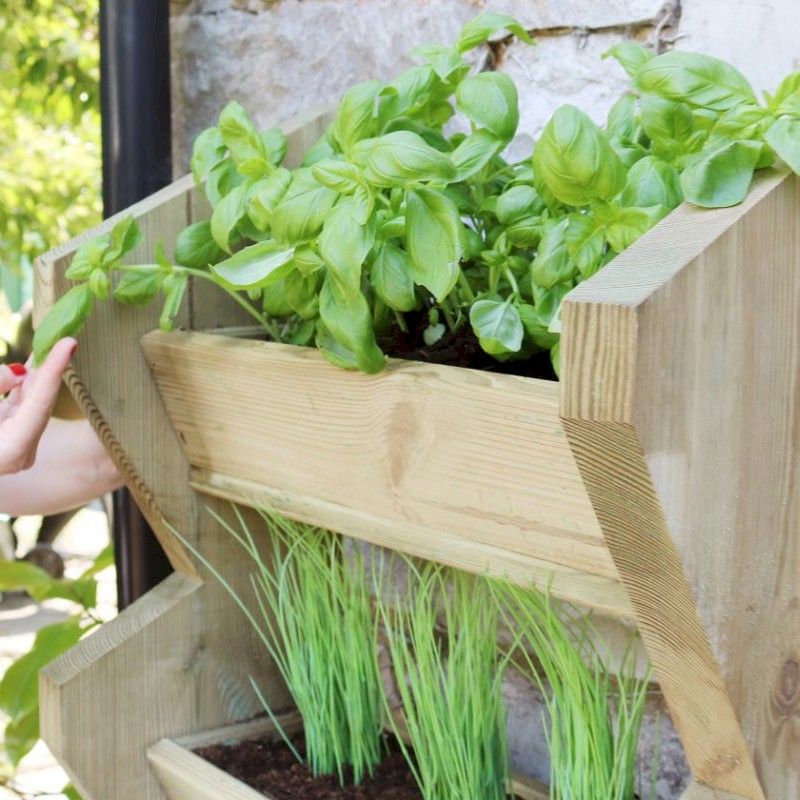 Zest Tall Vertical Herb Stand - One Garden